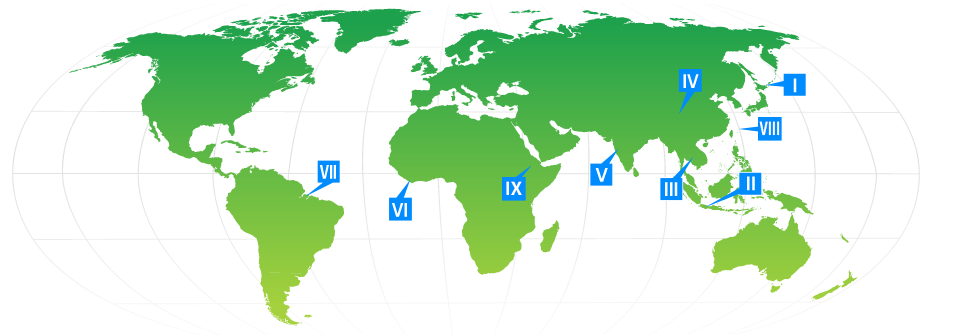 "Forests for the Air" Project | Sustainability | Daikin Global