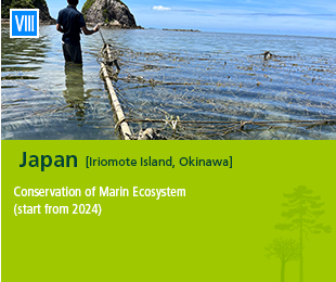 "Forests for the Air" Project | Sustainability | Daikin Global